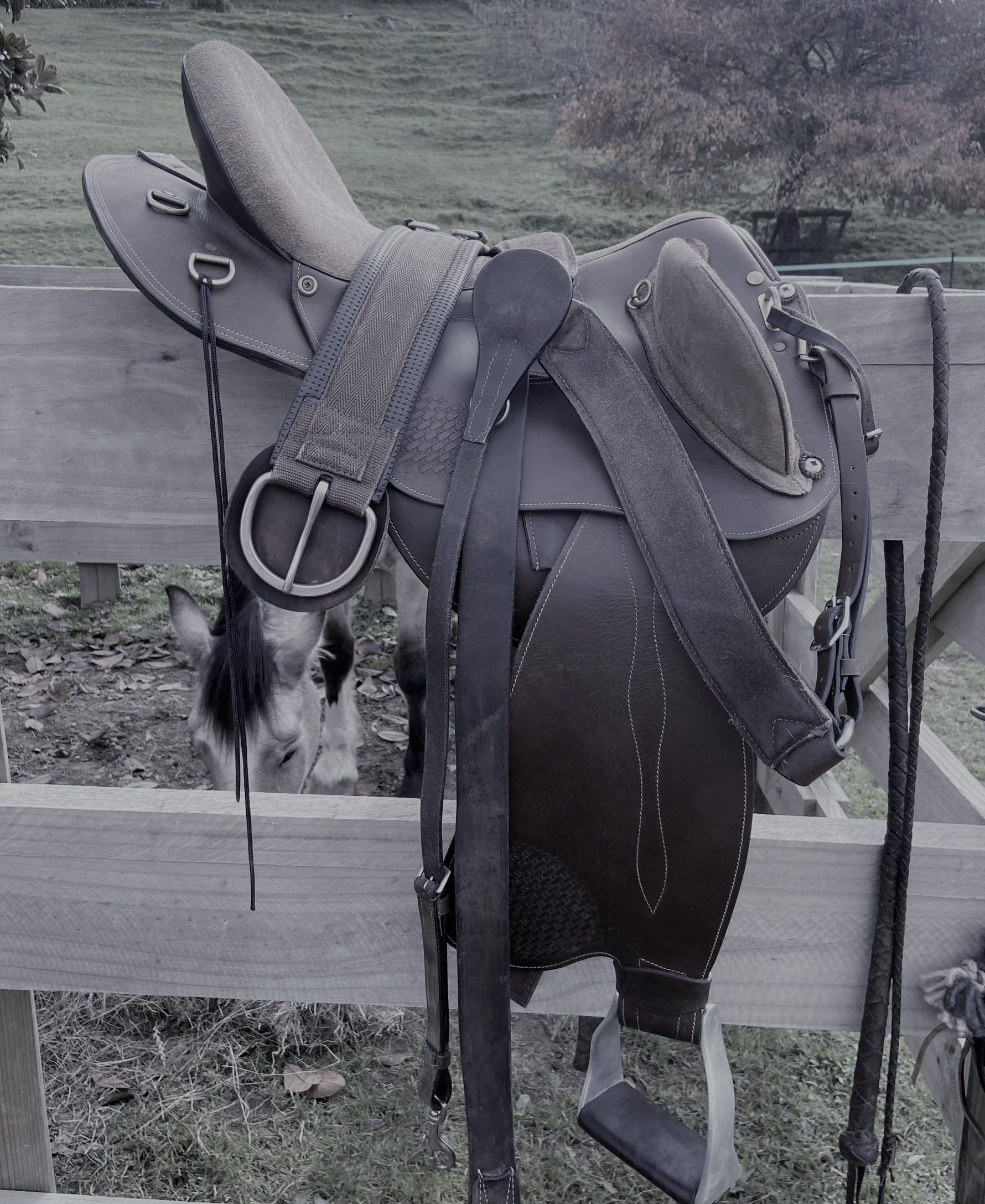 East Coast Equine Saddlery